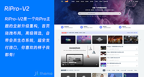 WordPress素材源码付费下载/会员制主题RiPro-V2 – 极主题